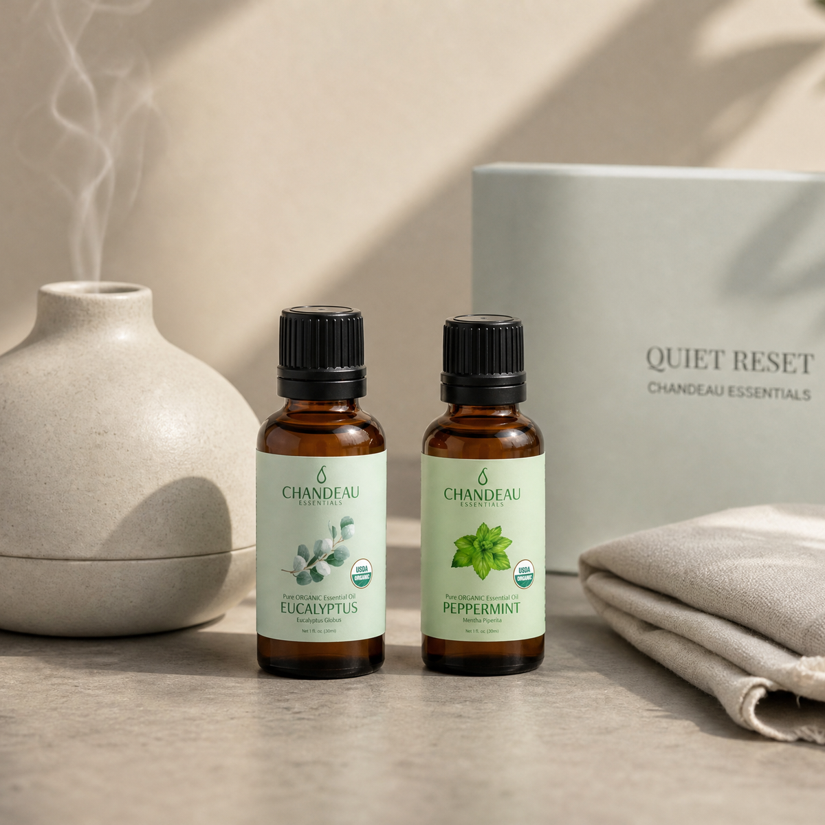 Eucalyptus and Peppermint Diffuser Blend — the Hour the House Resets ...